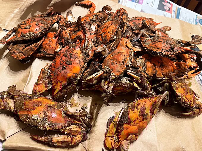 Behold the Mount Rushmore of Maryland dining – steamed crabs so perfect, they should be the state flag.