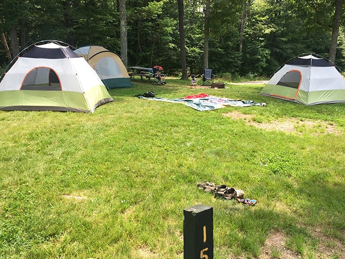 Camping nirvana: where your tent becomes a five-billion-star hotel. No room service, but the ceiling can't be beat.