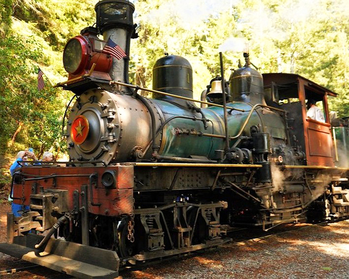 This isn't just any locomotive—it's a mechanical time machine with pistons, steam, and American flags that's been conquering mountain grades for generations.