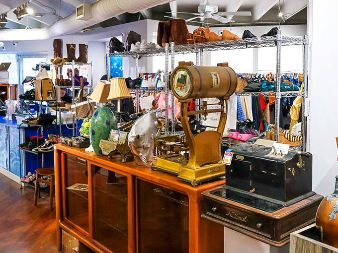 Vintage treasures arranged with surprising care—that barrel-shaped item might have once kept a sea captain's whiskey or a pirate's secrets.
