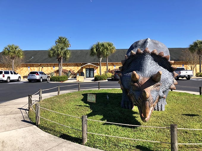 Triceratops on guard duty at the visitor center. This gentle giant has been welcoming guests without eating a single one—now that's customer service!
