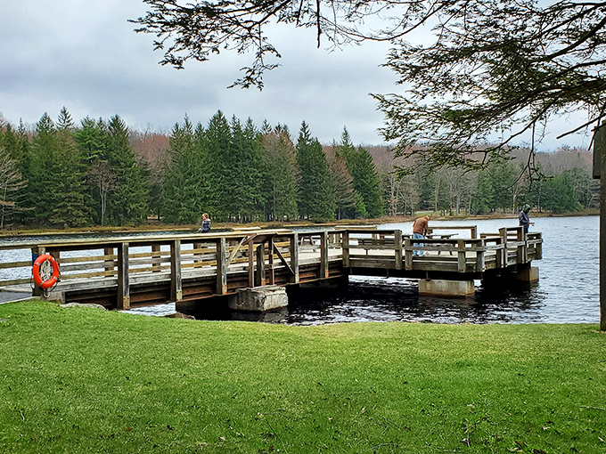 This fishing dock isn't just a platform—it's front-row seating to the greatest show on earth, starring fish who've mastered the art of playing hard to get.