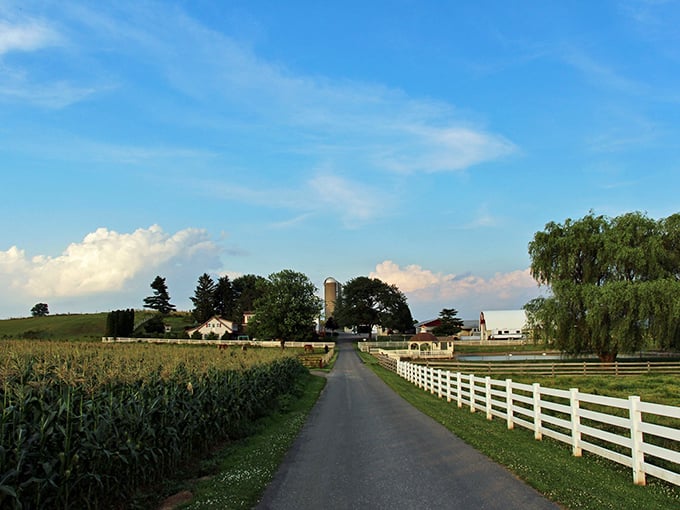Amish Farm Stay against that blue sky – better than any meditation app for instant calm.