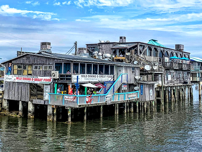 Cedar Key's over-water eateries—where seafood travels mere feet from boat to plate. This weathered wooden wonder has survived more hurricanes than Keith Richards.