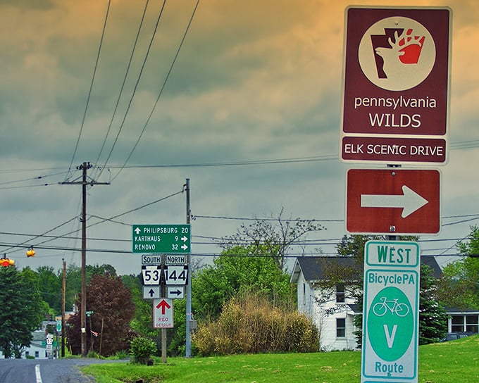 "This way to wild encounters!" The Elk Scenic Drive delivers exactly what it promises—a journey through Pennsylvania's own Yellowstone.