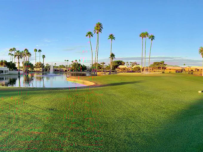 Desert beauty meets community living. Fountain of the Sun's entrance sign welcomes you to affordable retirement surrounded by iconic saguaro cacti.
