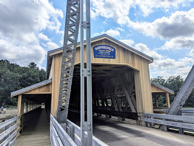 This isn't just a bridge – it's a whole park experience wrapped in historic timber and charm.