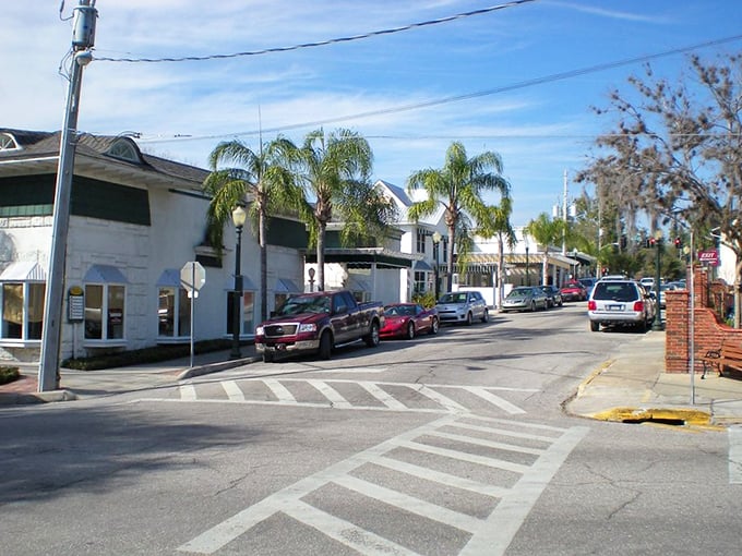 Mount Dora's charming streetscape mixes Victorian architecture with palm trees – like someone transplanted a New England village and gave it a Florida makeover.
