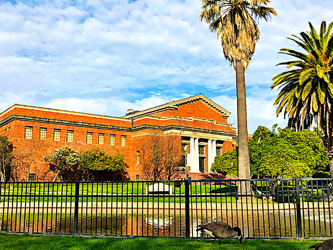 Stockton's waterfront district reflects both in water and in spirit—beautiful views without the coastal price tag.