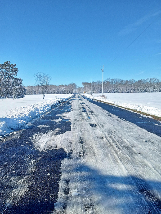 Winter transforms Bridgeville's country roads into peaceful ribbons of contrast – nature's way of painting Delaware's farm country in black and white.