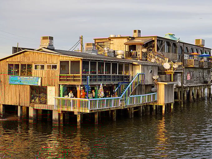 Dining with your toes practically in the Gulf! Cedar Key's stilted restaurants prove everything tastes better with a water view and salt-kissed air.