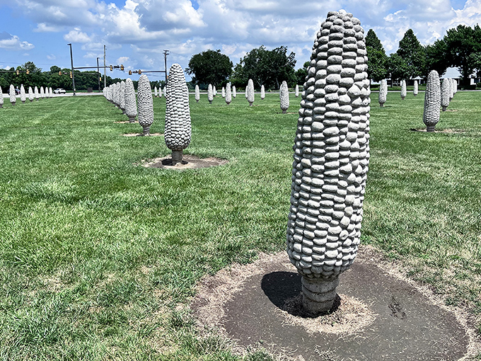 Cornhenge lives up to its nickname – mysterious, majestic, and definitely more edible-looking than those British stones.