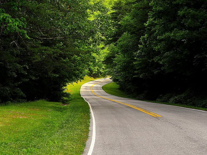 The Foothills Parkway's famous "Missing Link" bridges seem to float in mid-air—like magic, but with better engineering!