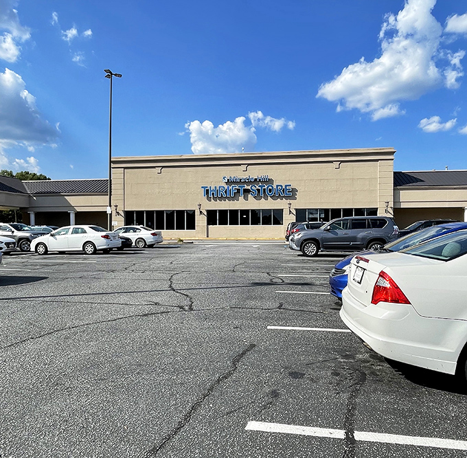 Spacious aisles and bright lights make treasure hunting less like work and more like the adventure it should be.