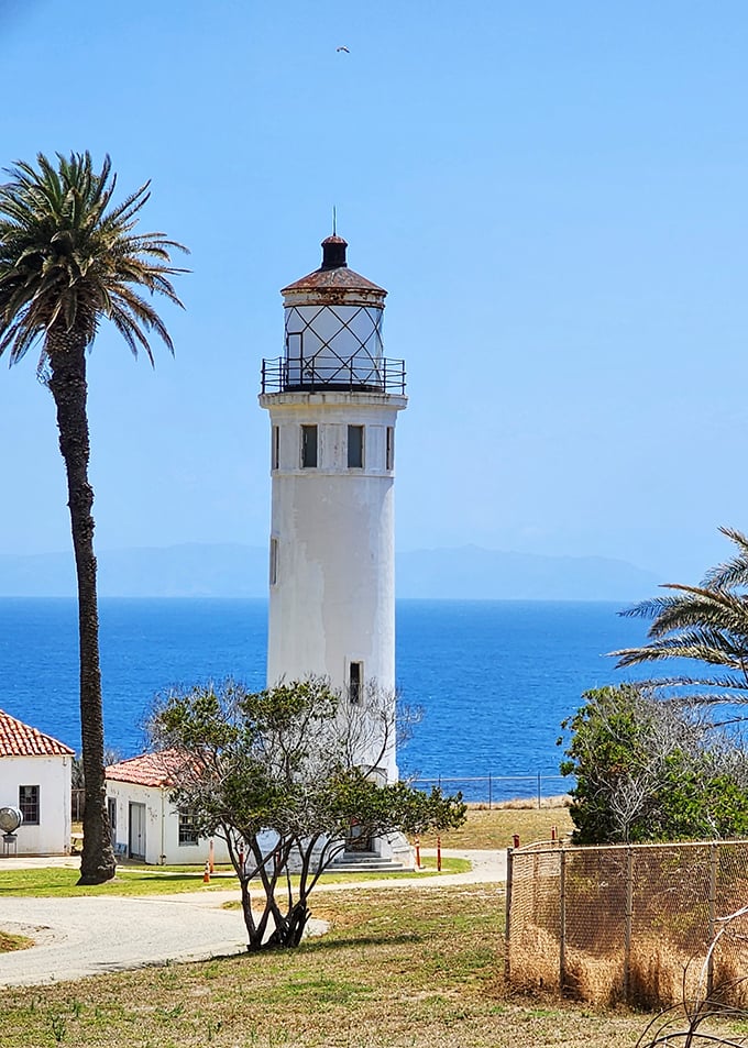 Sun, palms, and a lighthouse with a view—Point Vicente is pure California coastal charm.