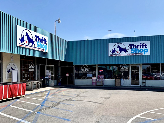 Shopping here isn't just retail therapy – it's helping furry friends find forever homes too!