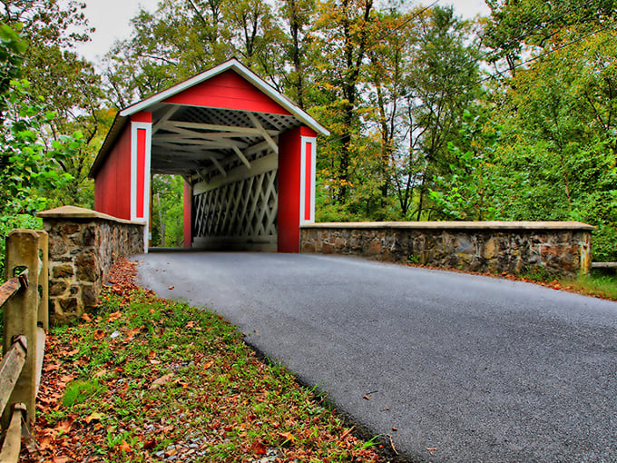 This unassuming country road leads to Delaware's hidden treasures. The best adventures often start on roads without billboards.