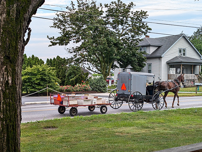 In Ronks, seeing an Amish buggy crossing at a traffic light isn't unusual - it's just part of daily life.