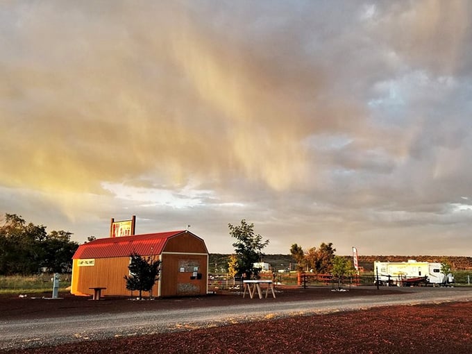 Under Arizona’s wide-open skies, Springerville greets you with small-town charm, where golden sunsets and quiet streets set the pace for peaceful retirement living.