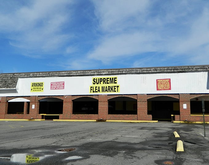Sunshine and Supreme Flea Market—a perfect Richmond pairing that rivals peanut butter and jelly for sheer satisfaction.