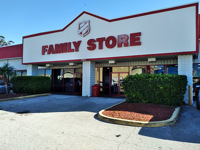 Palm trees and thrift stores—a classic Florida pairing that promises air-conditioned treasure hunting on hot days!