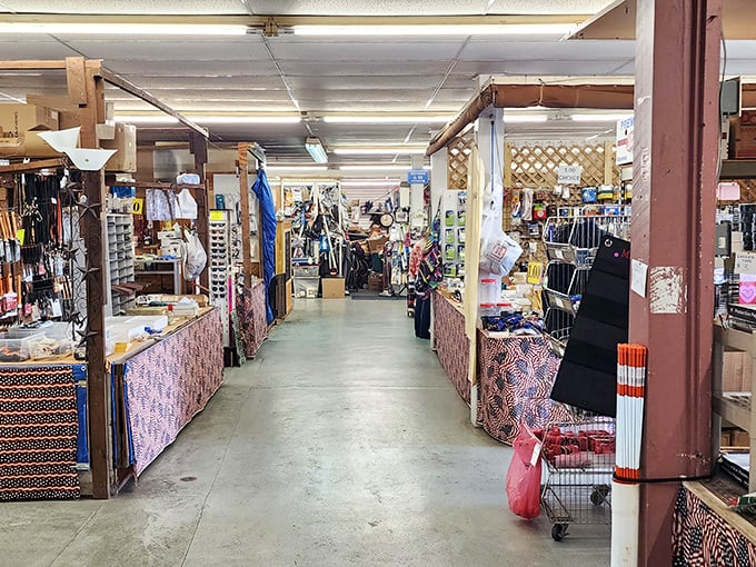 Narrow aisles packed with possibility – the retail equivalent of "I just came for eggs" but leaving with three bags of things you absolutely needed.