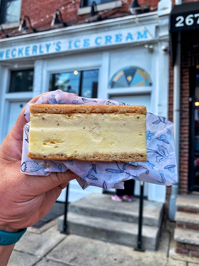 The perfect ice cream sandwich doesn't exi— Oh wait, there it is! Golden cookies embracing vanilla ice cream like old friends reuniting.