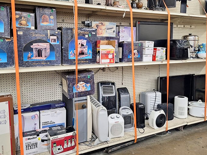 The small appliance graveyard – where perfectly good heaters, air purifiers, and holiday decorations await resurrection in your home.