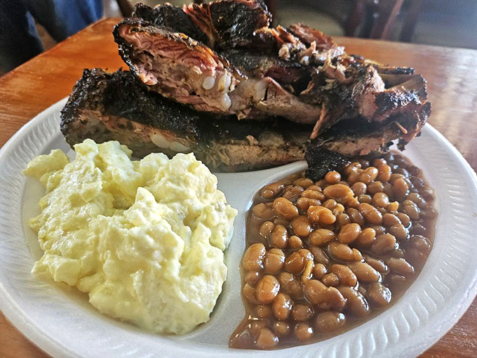 The holy trinity of barbecue bliss: smoky ribs with a perfect bark, creamy potato salad, and baked beans that have clearly been taking their flavor vitamins.