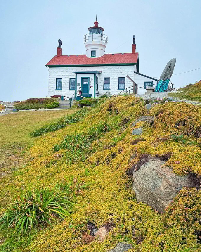 Approaching the lighthouse feels like walking into a watercolor painting—wildflowers, weathered stone, and that iconic silhouette against the sky.