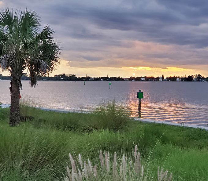 Sunset over calm waters with swaying grasses—nature's version of a meditation app, but with better resolution and no subscription fee.