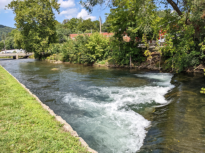 Spring Creek doesn't just flow through Bellefonte—it performs, creating a natural soundtrack that no meditation app can replicate.