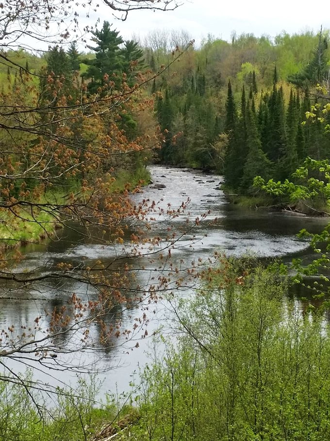 The Black River carves its path through the northwoods with the confidence of someone who knows exactly where they're going. Wish I could say the same.