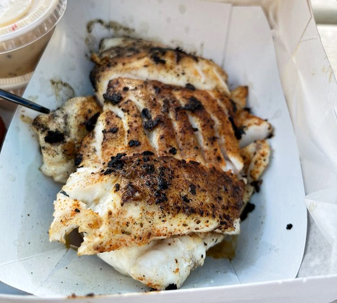 Blackened grouper that needs no introduction—just a moment of silence before the first heavenly bite.
