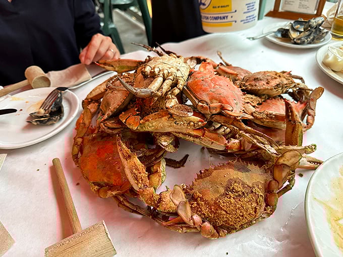 The seafood equivalent of a treasure chest—steamed blue crabs piled high, waiting for you to crack into their sweet, succulent meat.