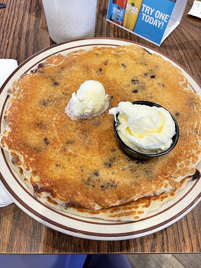 These blueberry pancakes aren't just breakfast—they're edible sunshine with butter on top. The perfect canvas for maple syrup artistry.