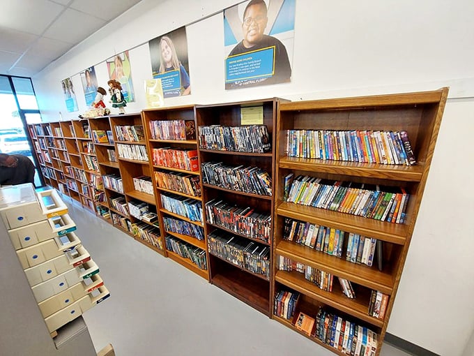 A literary paradise where beloved books await their next chapter with you.