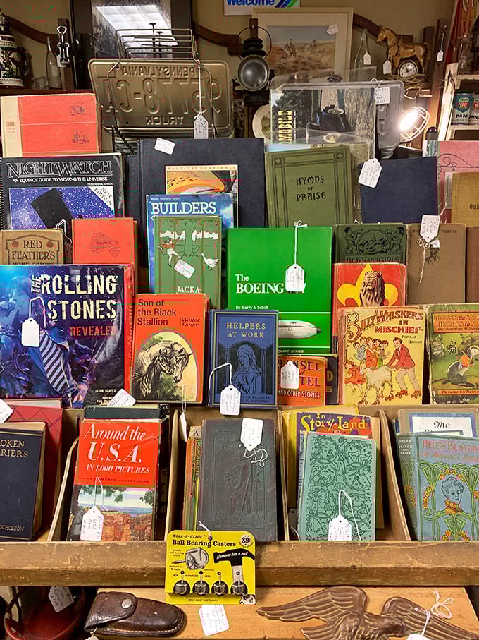 A literary treasure trove where The Rolling Stones share shelf space with children's classics—proving good taste spans generations and genres.