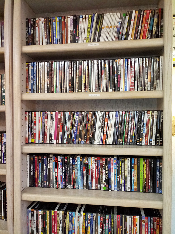 A library of forgotten favorites and cult classics—each DVD spine tells a story before you even press play.