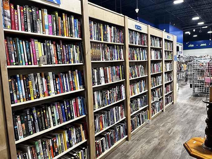 Bookworms, rejoice! These well-organized shelves hold literary adventures costing less than a fancy coffee—and lasting much longer.