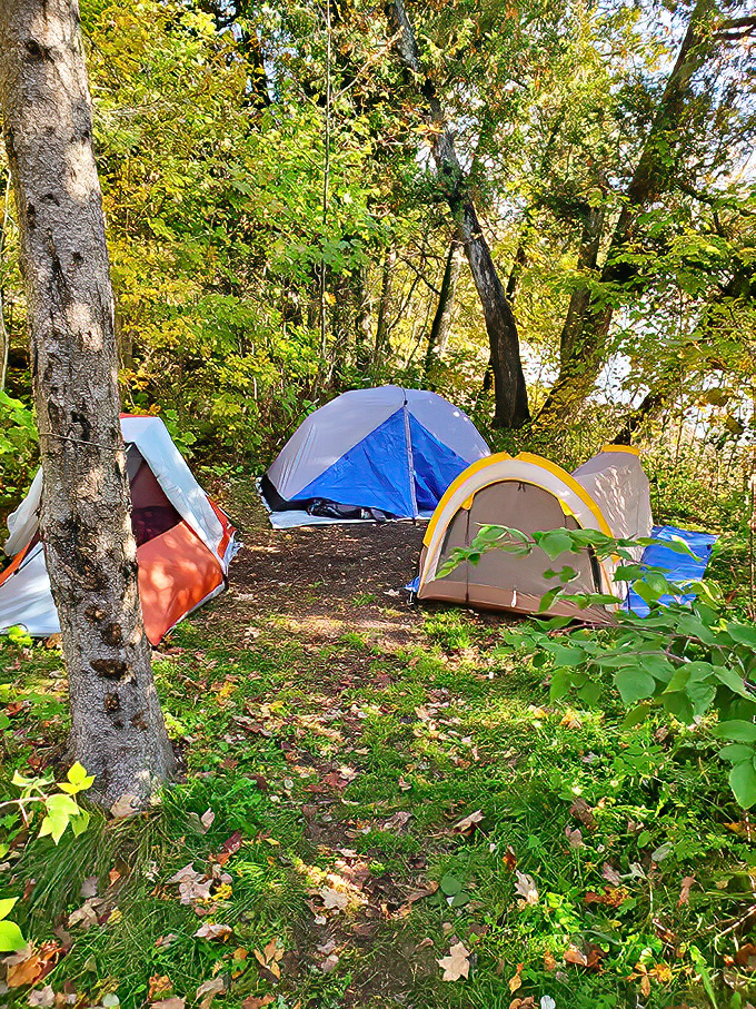 Camping at Newport isn't glamping—it's better. These secluded sites offer something priceless: absolute tranquility among autumn leaves.