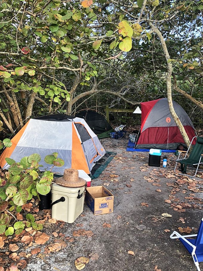 Camping among sea grape trees – where "roughing it" comes with million-dollar views no resort could possibly match.