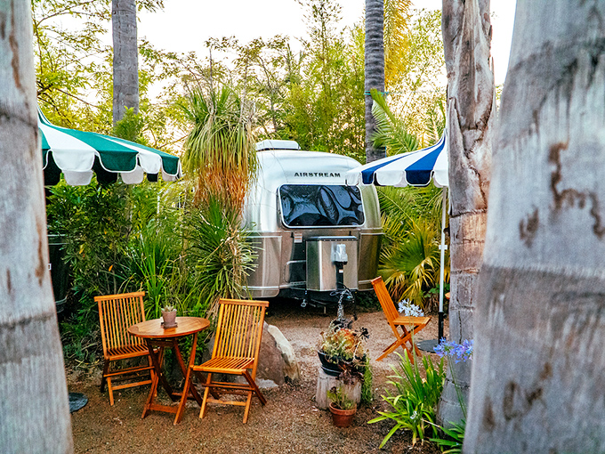 At Caravan Outpost, vintage Airstreams nestled among palm trees redefine glamping—it's like Wes Anderson designed your camping experience.