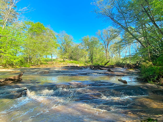 Carter Falls creates nature's perfect soundtrack—rushing water tumbling over ancient rocks, a melody that's been playing long before we arrived to appreciate it.