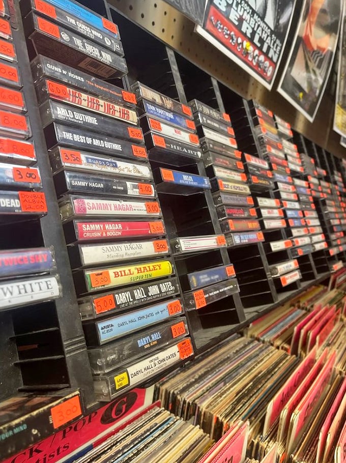 Music history stacked in plastic cases—from Sammy Hagar to Hall & Oates, these cassettes are time machines disguised as forgotten technology.