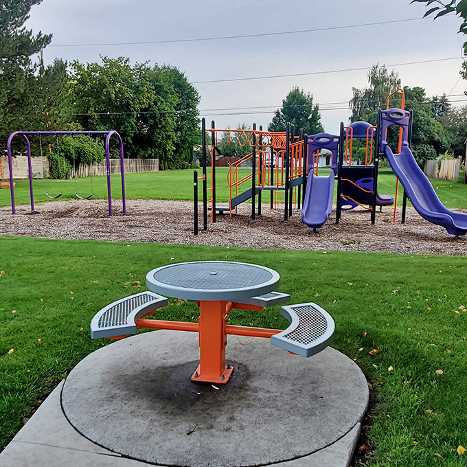 Cedar Acres Park offers the simple joys of childhood – swings, slides, and that spinning thing that taught generations about centrifugal force and nausea.