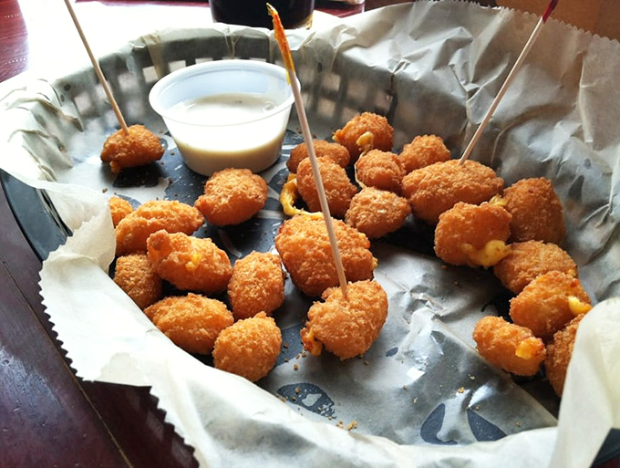 These golden cheese curds aren't just appetizers, they're little Wisconsin ambassadors of joy – crispy outside, melty inside, and served with a dipping sauce for good measure.