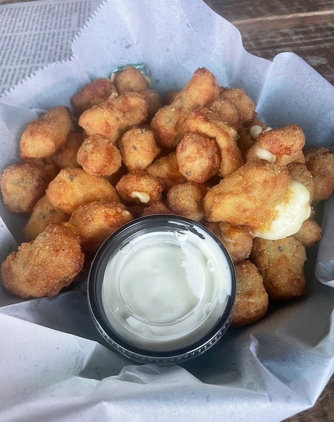 These cheese curds aren't just fried—they're transformed. Each bite delivers a symphony of crispy exterior giving way to molten, stretchy cheese heaven.