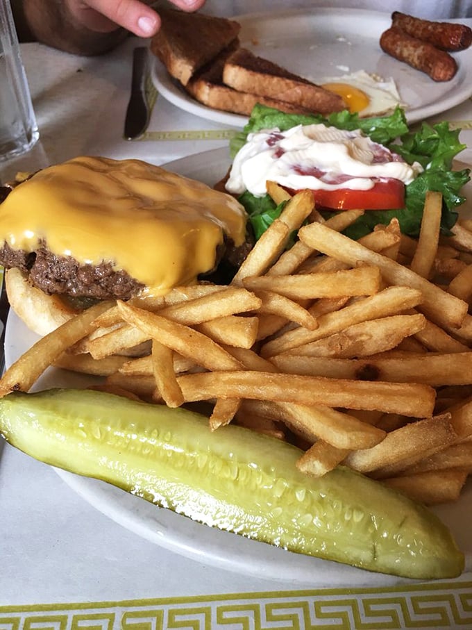 The cheeseburger test – passed with flying colors. That pickle spear stands guard like the Washington Monument of lunch, overlooking a golden sea of fries.