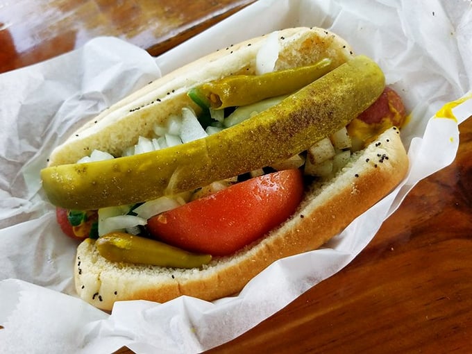 The Chicago dog—a masterpiece of contrasting flavors and textures. That poppy seed bun cradling a garden of toppings is practically architectural.